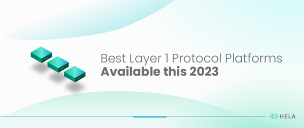 5 Best Layer 1 Protocol Platforms Available in 2024 - HeLa