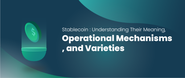 What is Stablecoin? A Beginner's Guide - HeLa