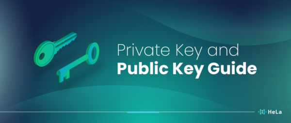 Private Key and Public Key: Definition and Difference in Cryptocurrency ...