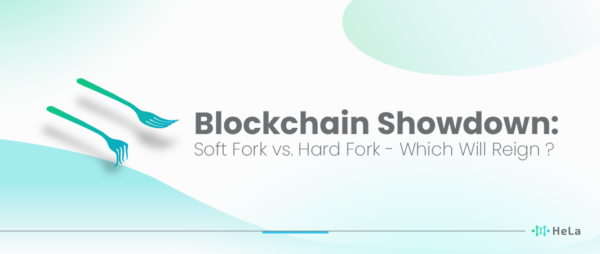 Soft Fork Vs. Hard Fork: An In-Depth Comparison - HeLa