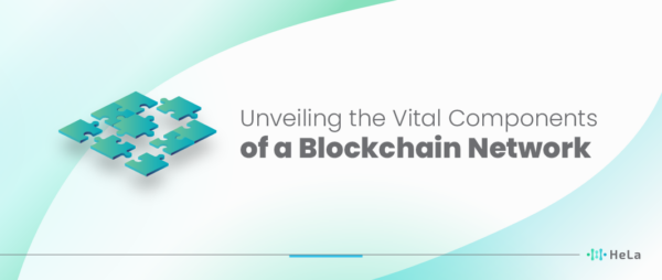 Components of a Blockchain Network - HeLa
