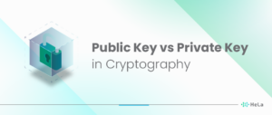 Public Key VS Private Key: A Comparative Guide - HeLa