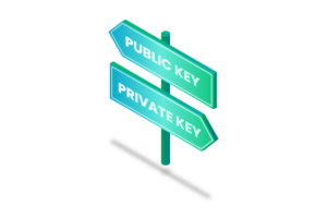 Public Key VS Private Key: A Comparative Guide - HeLa