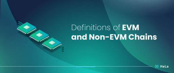 EVM and Non-EVM Chains: Understanding the Core Differences - HeLa