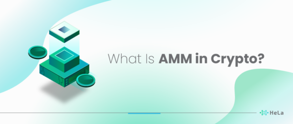 What Is AMM in Crypto? - HeLa