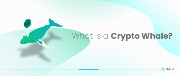What is a Crypto Whale? Their Role and Impact on the Market - HeLa