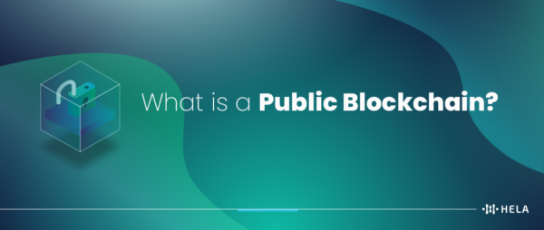 What is a Public Blockchain? An In-Depth Guide - HeLa