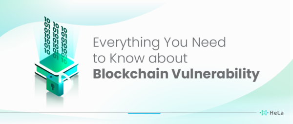 Blockchain Vulnerability: Assessing and Mitigating Security Threats - HeLa