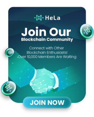 What is a Private Blockchain? A First-Time User's Guide - HeLa