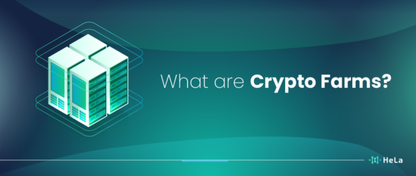 What are Crypto Farms? A Comprehensive Guide - HeLa