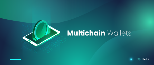 What Is Multichain Wallet? Benefits and Development - HeLa