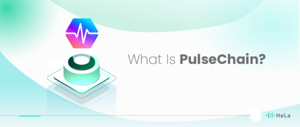 What Is PulseChain? A Comprehensive Overview - HeLa
