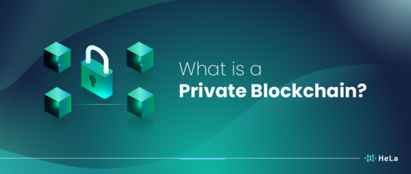 What is a Private Blockchain? A First-Time User's Guide - HeLa
