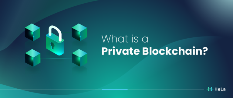 What is a Private Blockchain? A First-Time User's Guide - HeLa