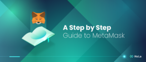 How to Add an EVM Network to Metamask? - HeLa