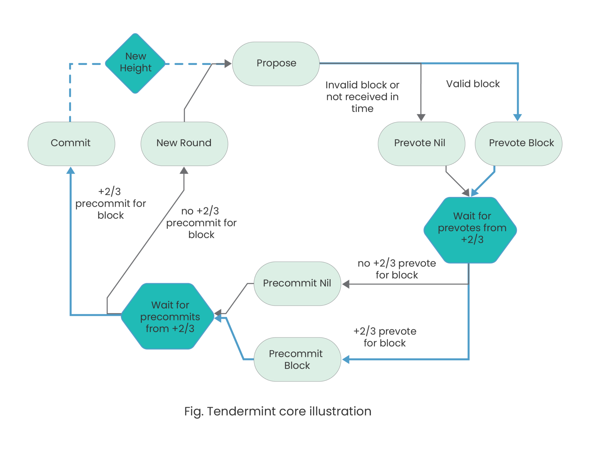 Tendermint: The Consensus Engine Powering Next-Gen Blockchains - HeLa