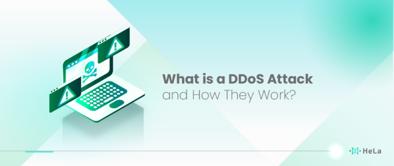 What is a DDoS Attack? - HeLa