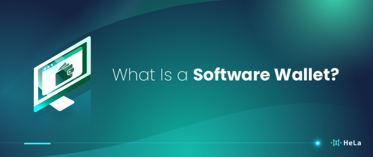 What Is a Software Wallet? A Beginner's Guide - HeLa