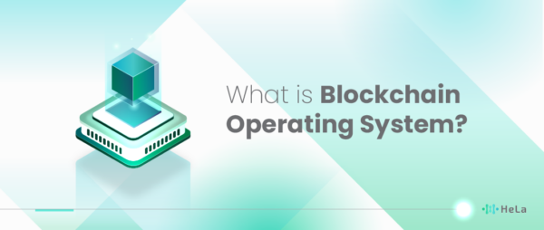 Blockchain Operating System: The Key to Transparent Transactions - HeLa