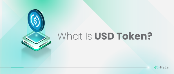 What is Token USD? Key Insights and Information - HeLa