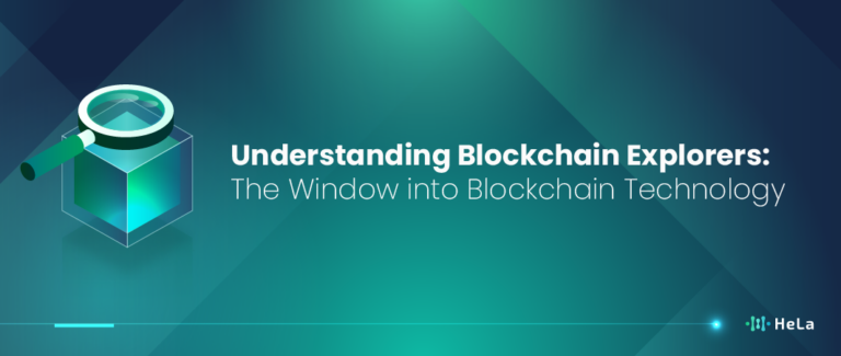 Blockchain Explorers: A Beginner's Comprehensive - HeLa