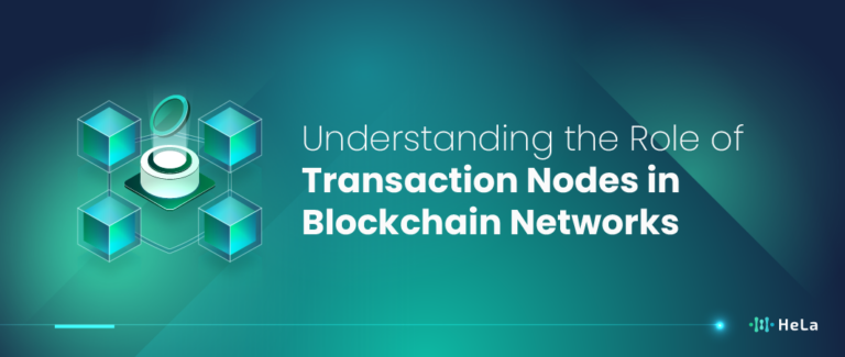 What is Transaction Node? The Meaning and Functions - HeLa