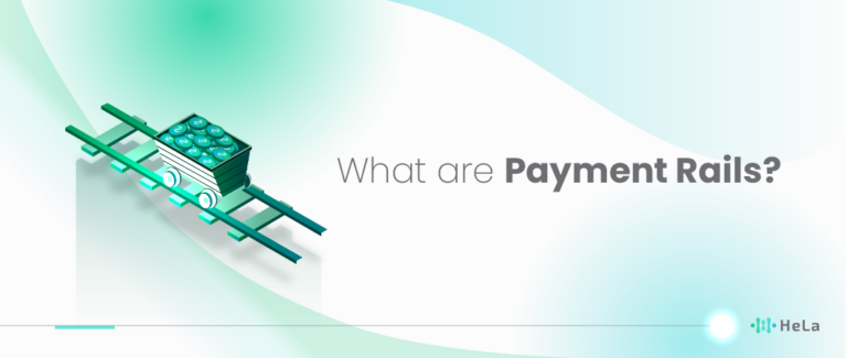 What Are Payment Rails? Key Components and Functions - HeLa