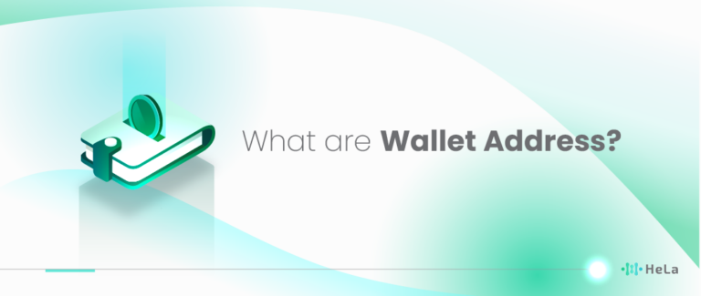 What is a Wallet Address and Why It Matters? - HeLa