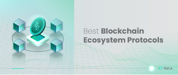 12 Best Blockchain Ecosystem Protocols in 2025 - HeLa