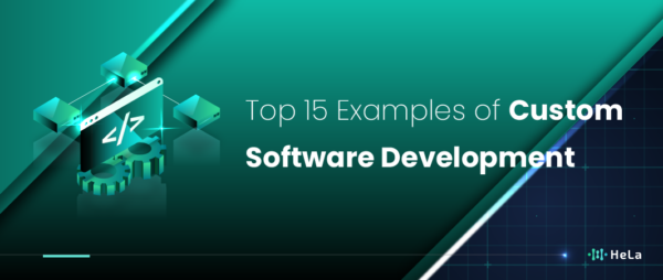Top 15 Examples of Custom Software Development in 2025 - HeLa