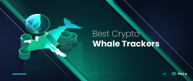 7 Best Crypto Whale Trackers to Know in 2025 - HeLa