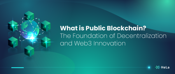What Is a Public Blockchain and How Does It Differ from Private ...