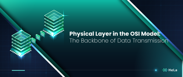 Physical Layer in the OSI Model: The Backbone of Data Transmission - HeLa