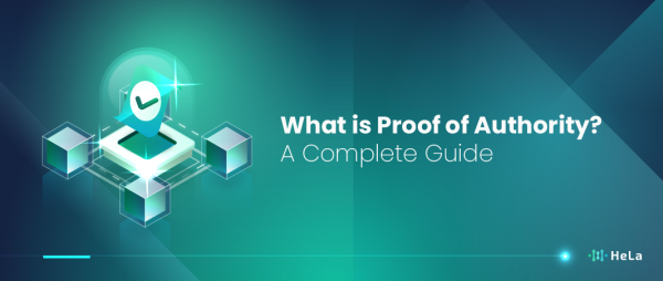 What is Proof of Authority? A Simple Guide for Beginners - HeLa