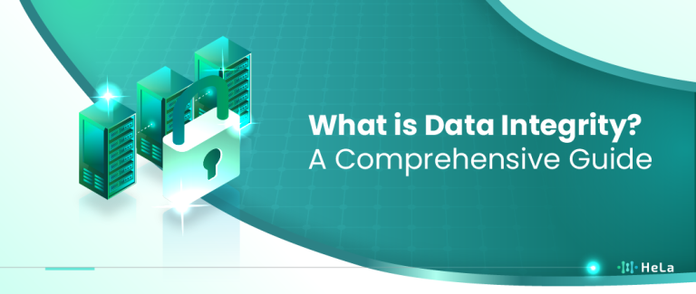 What Is Data Integrity? A Comprehensive Guide - HeLa