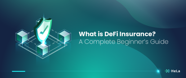 What is DeFi Insurance? A Complete Beginner’s Guide - HeLa