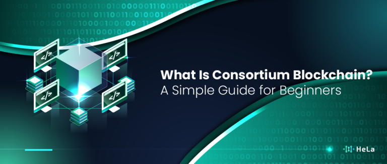 What Is Consortium Blockchain? A Simple Guide for Beginners - HeLa
