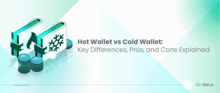 Hot Wallet vs Cold Wallet: Key Differences, Pros, and Cons Explained - HeLa