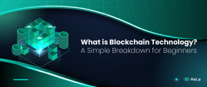 What is Blockchain Technology? A Simple Breakdown for Beginners - HeLa