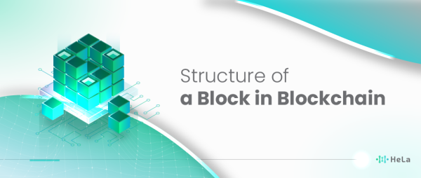 Structure of a Block in Blockchain: What’s Inside and Why It Matters - HeLa